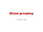PPT - Blood Grouping Slide & Tube Methods PowerPoint Presentation, free ...