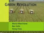 PPT - The green Revolution PowerPoint Presentation, free download - ID ...