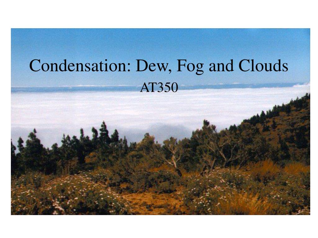 PPT - Condensation: Dew, Fog and Clouds PowerPoint Presentation, free ...