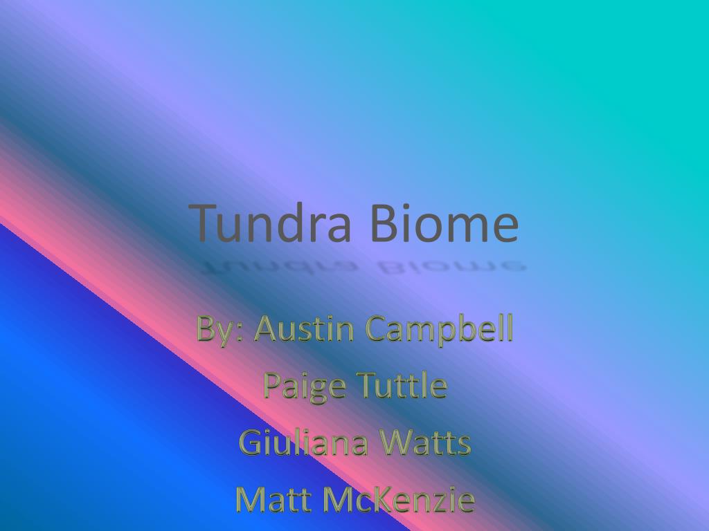 PPT - Tundra Biome PowerPoint Presentation, free download - ID:2788507