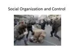 PPT - SOCIAL ORGANIZATION PowerPoint Presentation, free download - ID ...