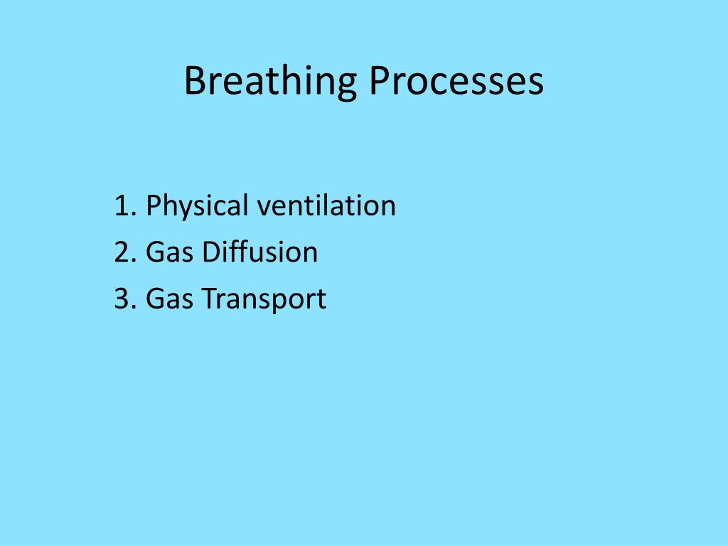 PPT - Breathing Processes PowerPoint Presentation, free download - ID ...