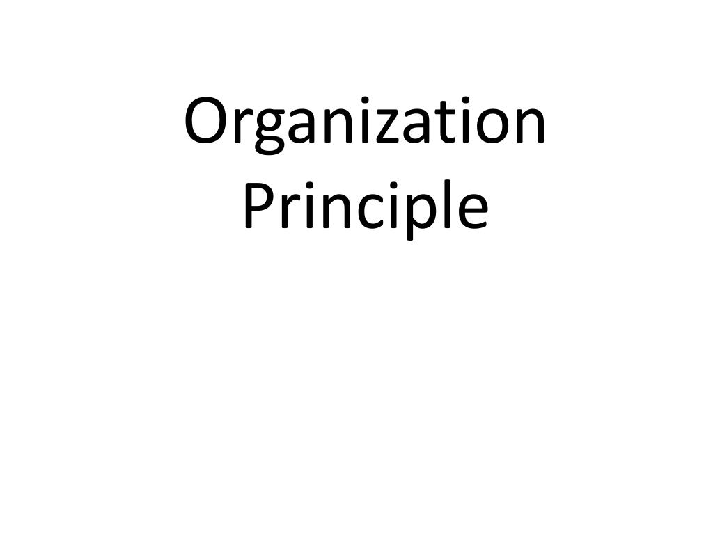 PPT - Organization Principle PowerPoint Presentation, free download ...