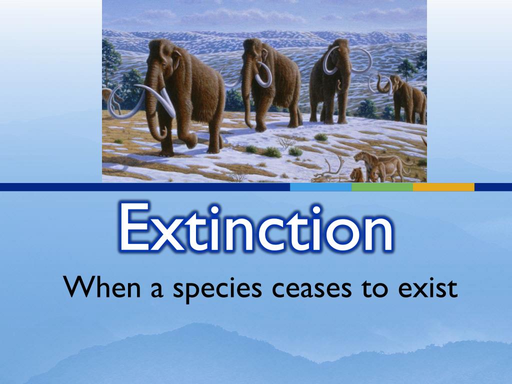 PPT - Extinction PowerPoint Presentation, free download - ID:2792987