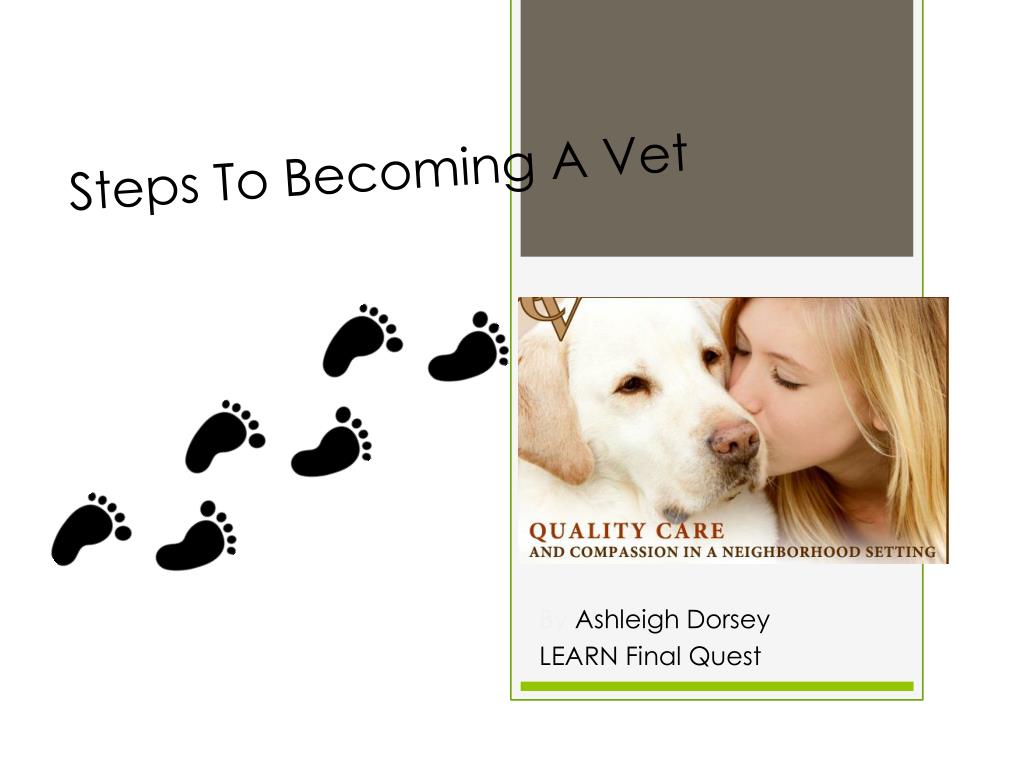 PPT - Steps To Becoming A Vet PowerPoint Presentation, free download ...