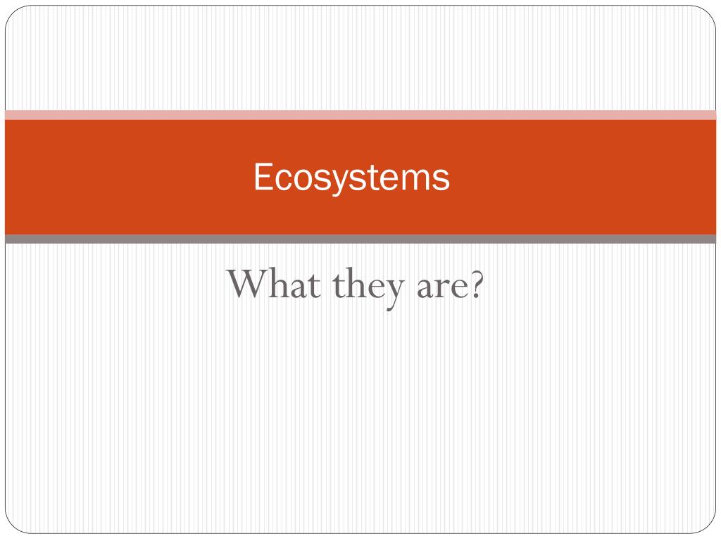 PPT - Ecosystems PowerPoint Presentation, free download - ID:2793524