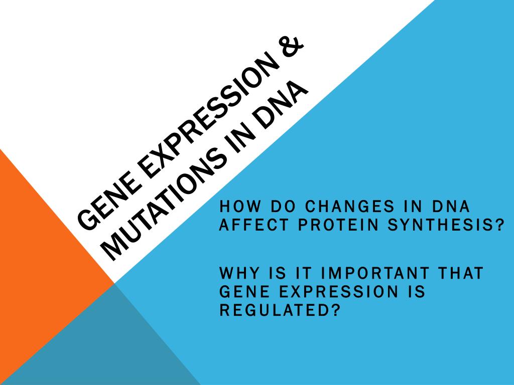 PPT - GENE EXPRESSION & MUTATIONS IN DNA PowerPoint Presentation - ID ...