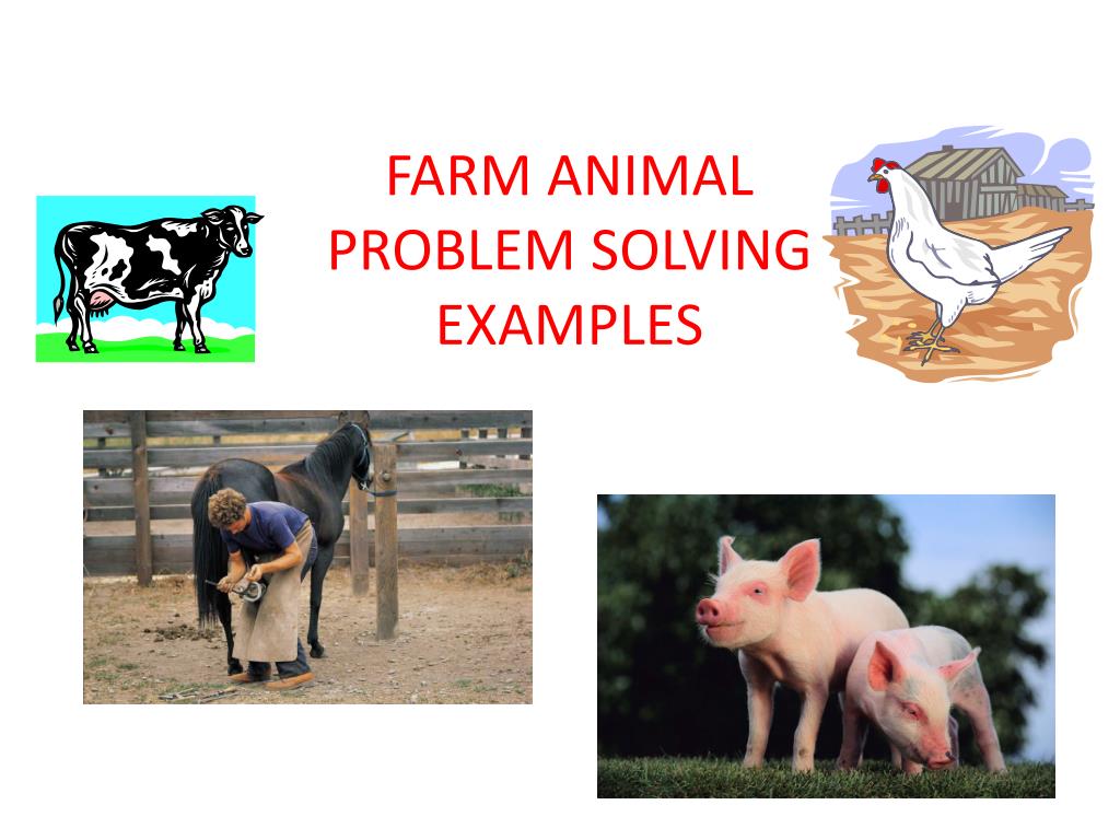 PPT - FARM ANIMAL PROBLEM SOLVING EXAMPLES PowerPoint Presentation ...