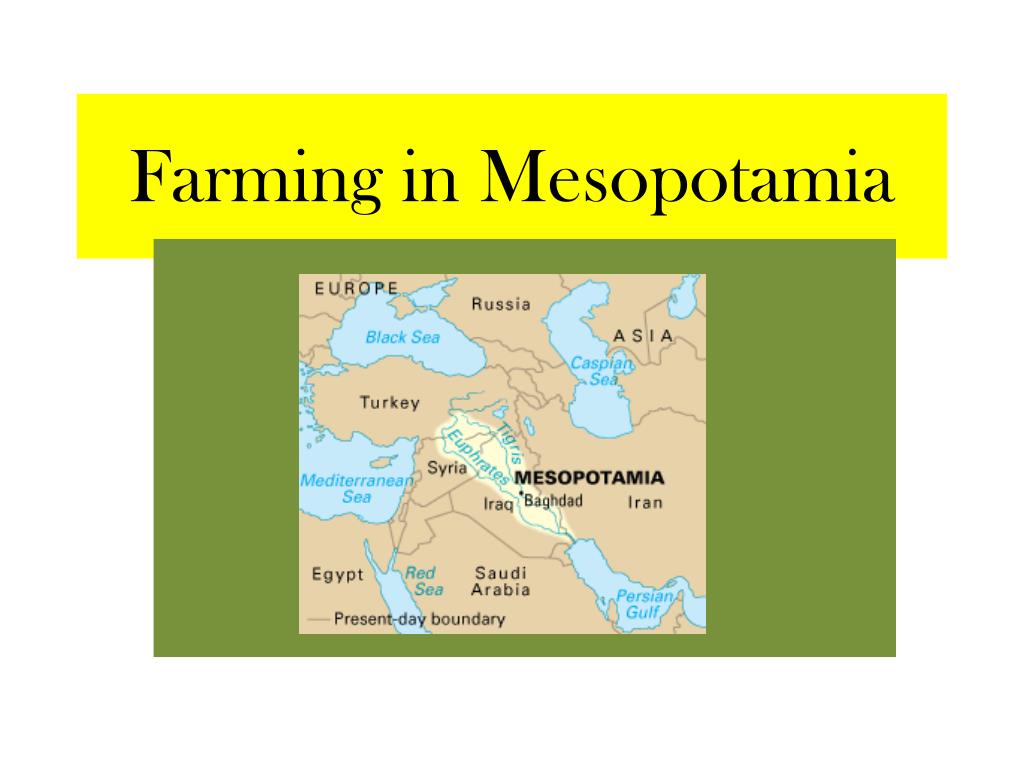 PPT - Farming in Mesopotamia PowerPoint Presentation, free download ...