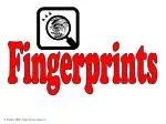 PPT - FINGERPRINTS PowerPoint Presentation, free download - ID:6912383