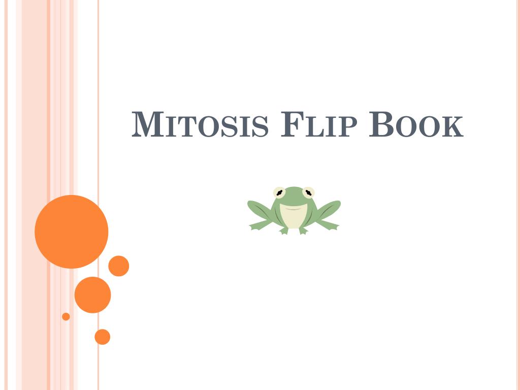 PPT - Mitosis Flip Book PowerPoint Presentation, free download - ID:2802483