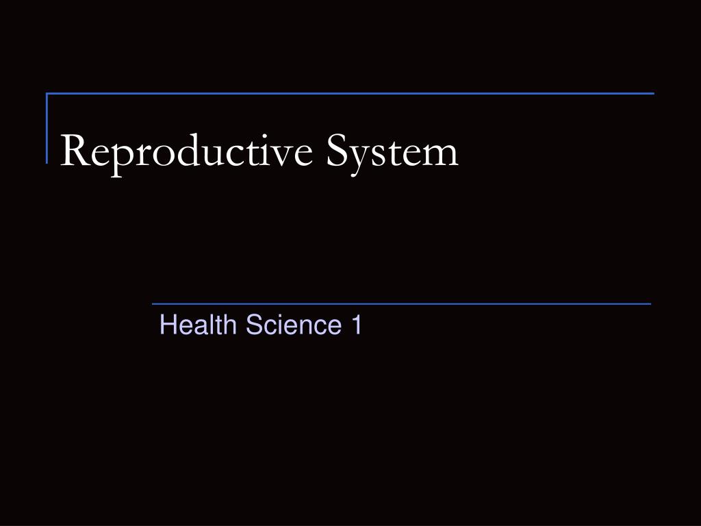 PPT - Reproductive System PowerPoint Presentation, free download - ID ...