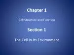 PPT - The Cell and its Environment PowerPoint Presentation, free ...