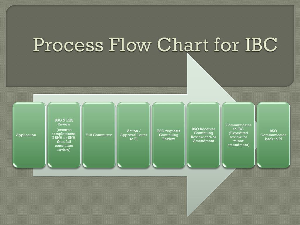 PPT - Process Flow Chart for IBC PowerPoint Presentation, free download ...