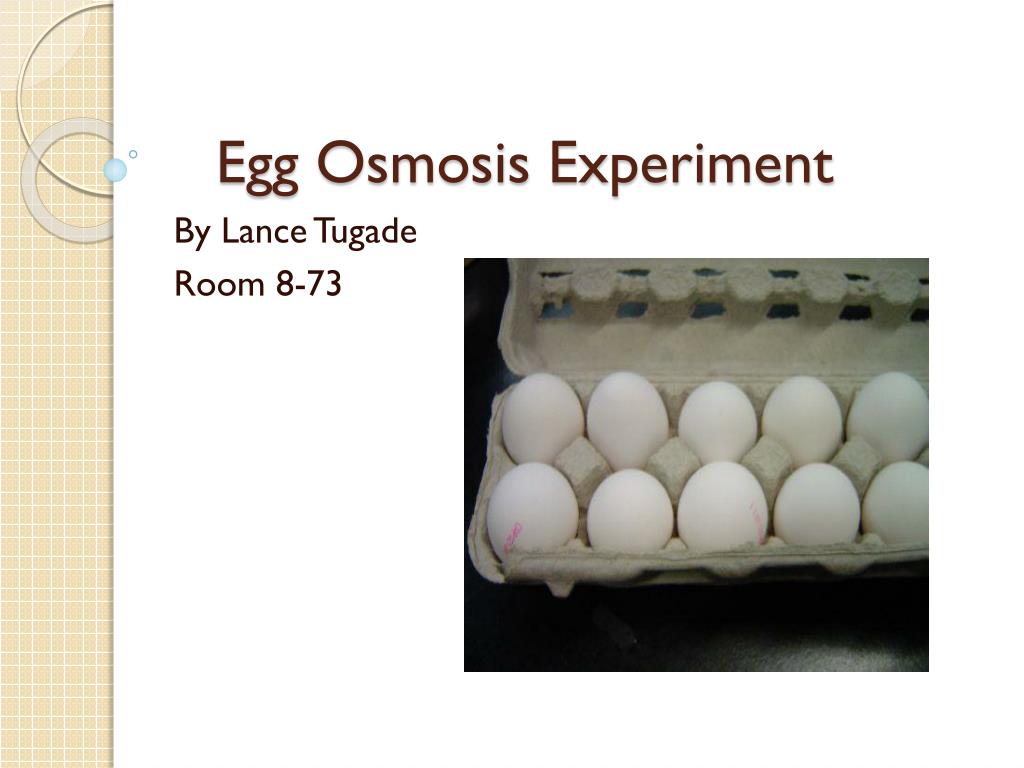 PPT - Egg Osmosis Experiment PowerPoint Presentation, free download ...