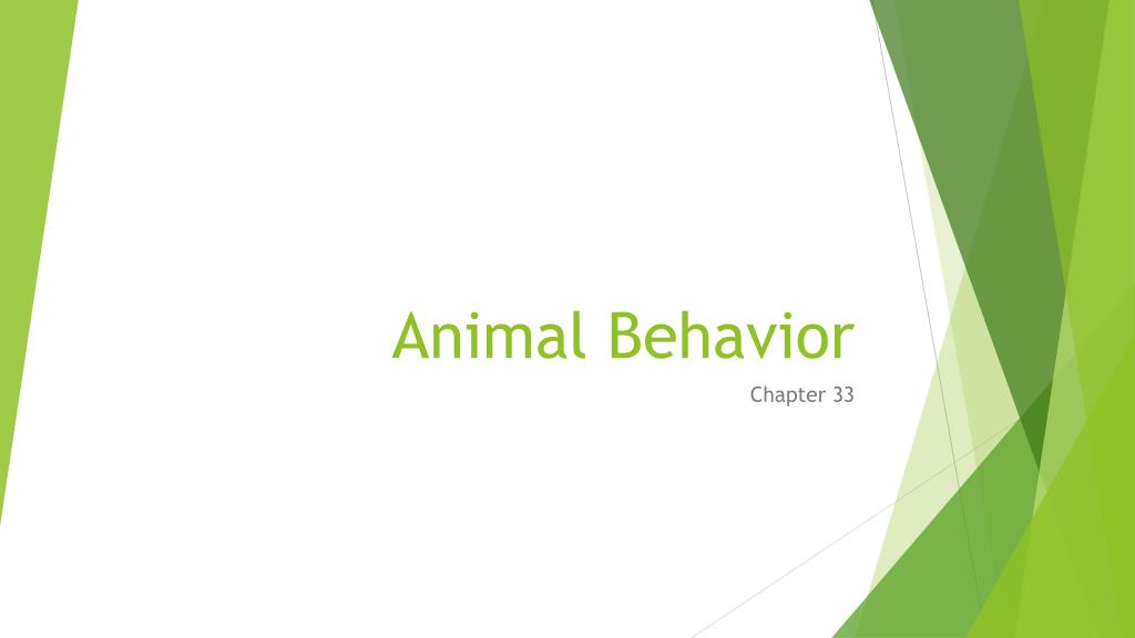 PPT - Animal Behavior PowerPoint Presentation, free download - ID:2805342