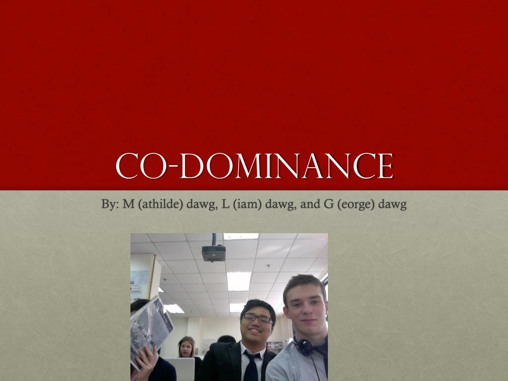PPT - Co-dominance PowerPoint Presentation, free download - ID:2805554