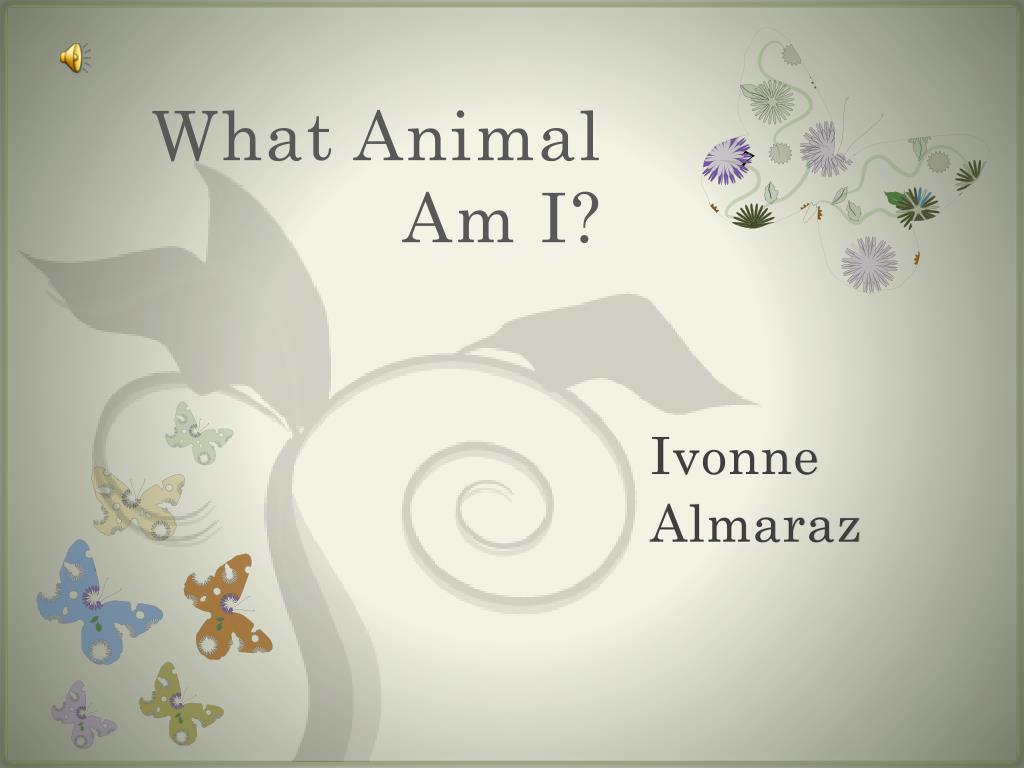 PPT - What Animal Am I? PowerPoint Presentation, free download - ID:2805695