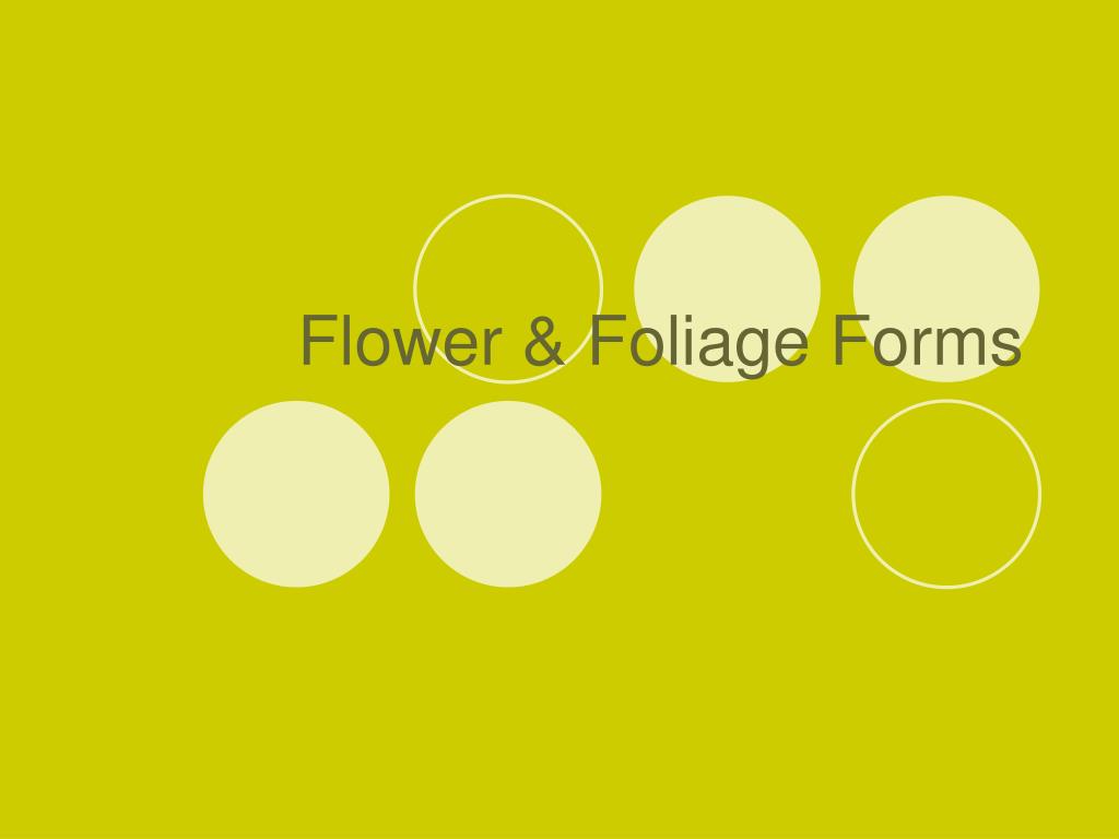 PPT - Flower & Foliage Forms PowerPoint Presentation, free download ...