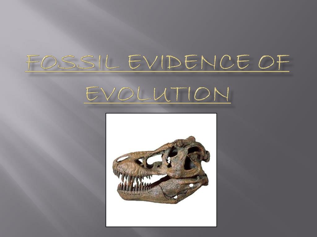 PPT - Fossil Evidence of Evolution PowerPoint Presentation, free ...