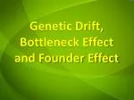 PPT - Genetic Drift PowerPoint Presentation, free download - ID:4493604