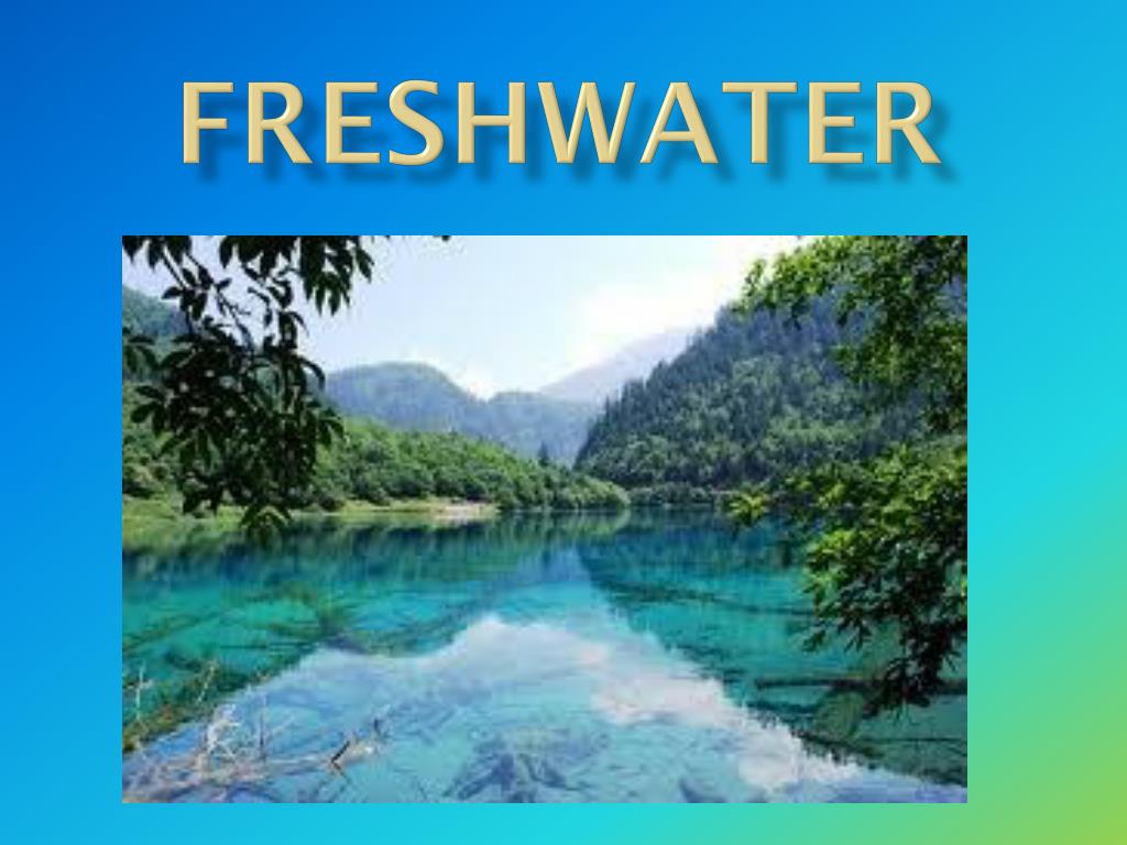 PPT - Freshwater PowerPoint Presentation, free download - ID:2808462