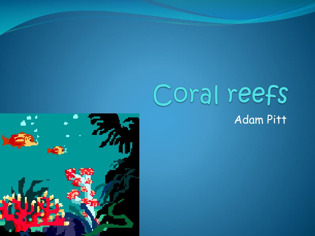 PPT - Coral reefs PowerPoint Presentation, free download - ID:2808792