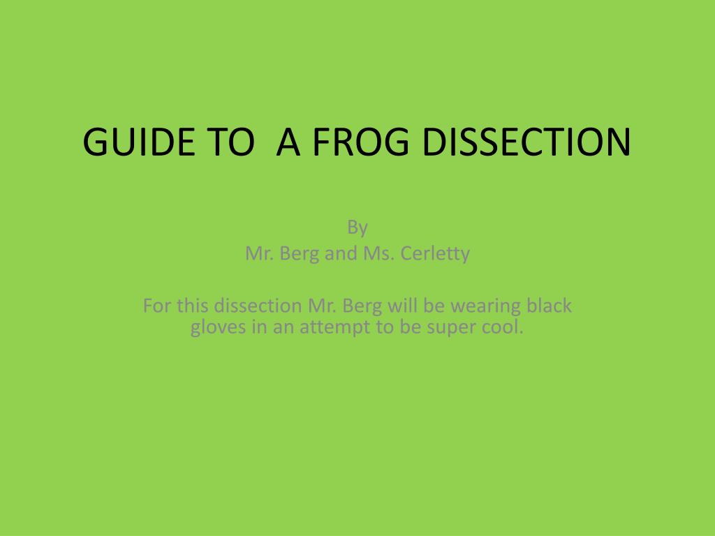 PPT - GUIDE TO A FROG DISSECTION PowerPoint Presentation, free download ...