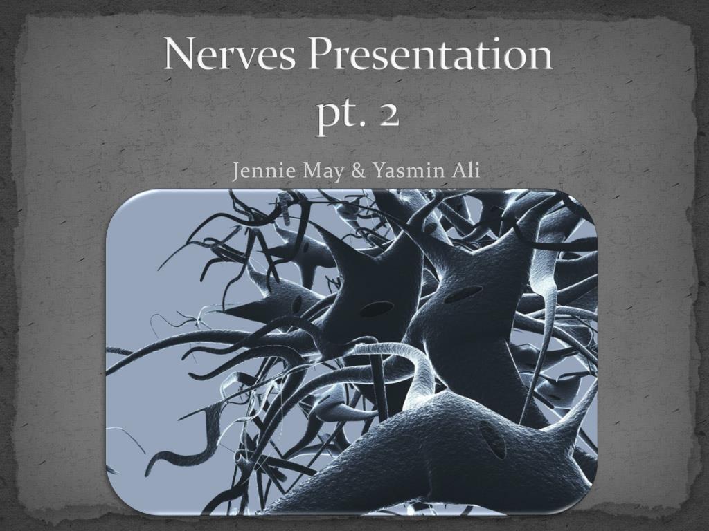 PPT - Understanding the Human Nervous System PowerPoint Presentation ...