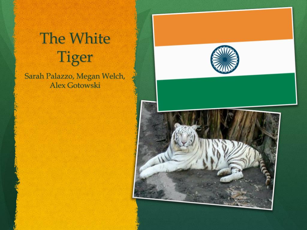 PPT - The White Tiger PowerPoint Presentation, free download - ID:2812195