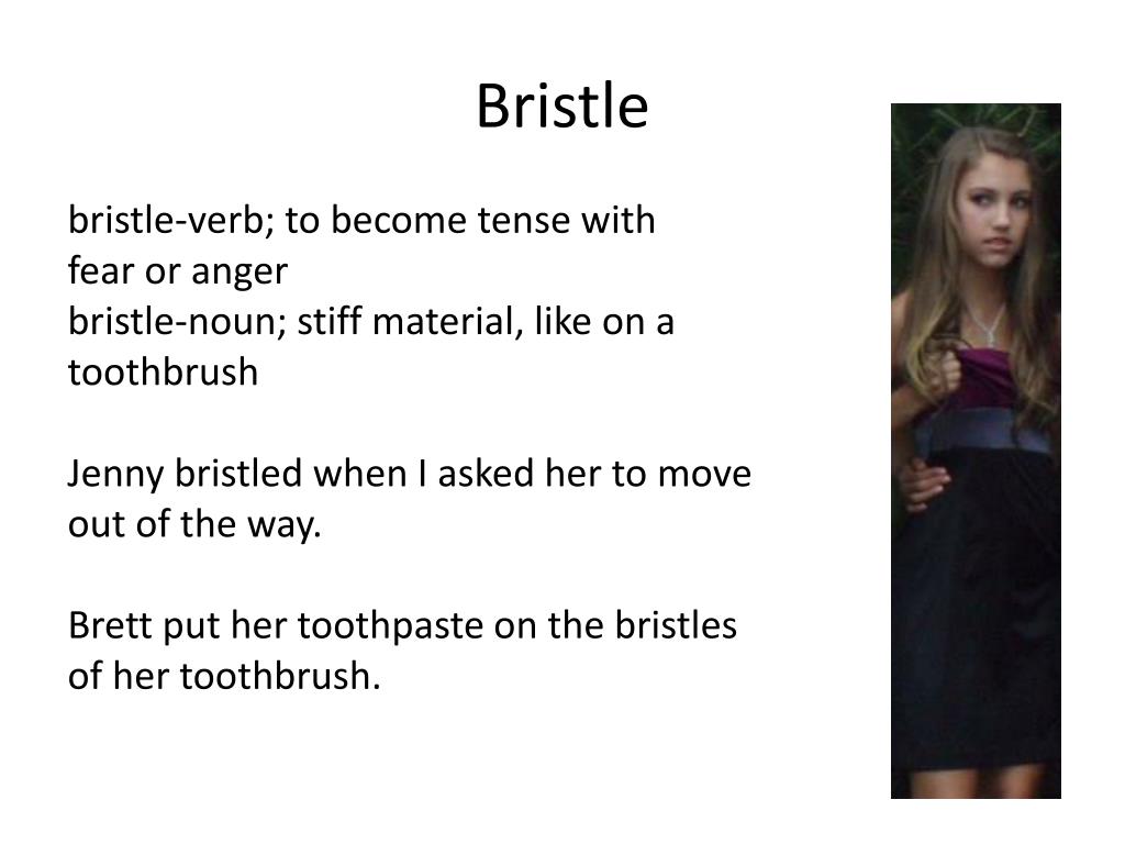PPT - Bristle PowerPoint Presentation, free download - ID:2812298
