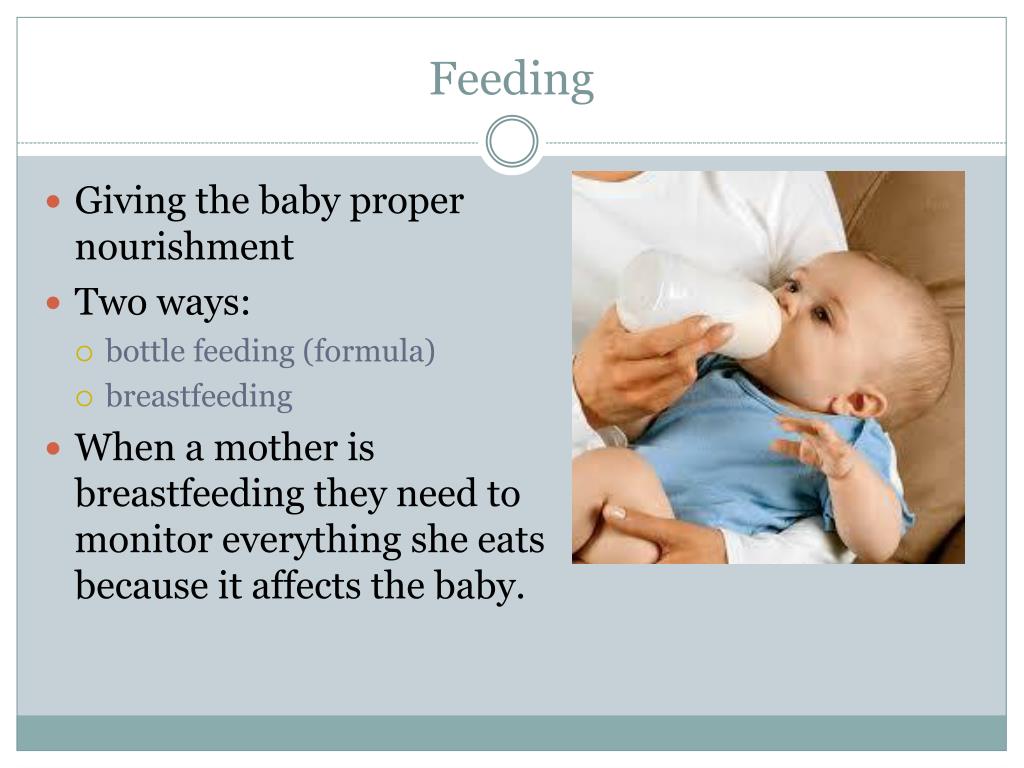 PPT - Feeding PowerPoint Presentation, free download - ID:2815283