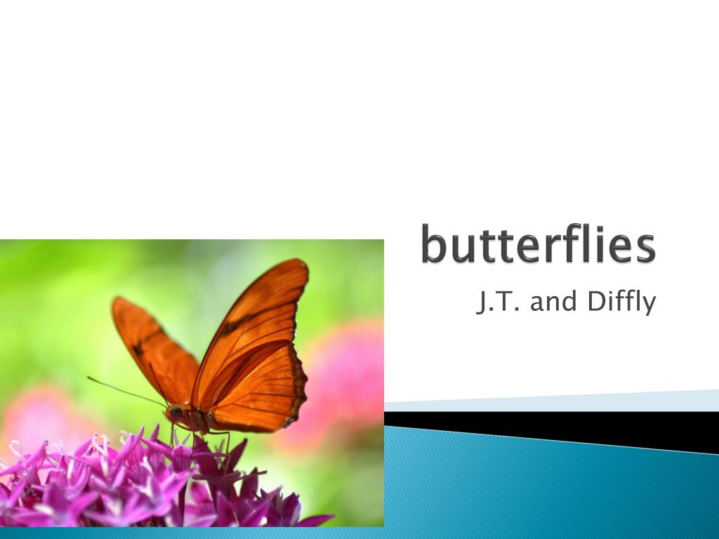 PPT - butterflies PowerPoint Presentation, free download - ID:2815511