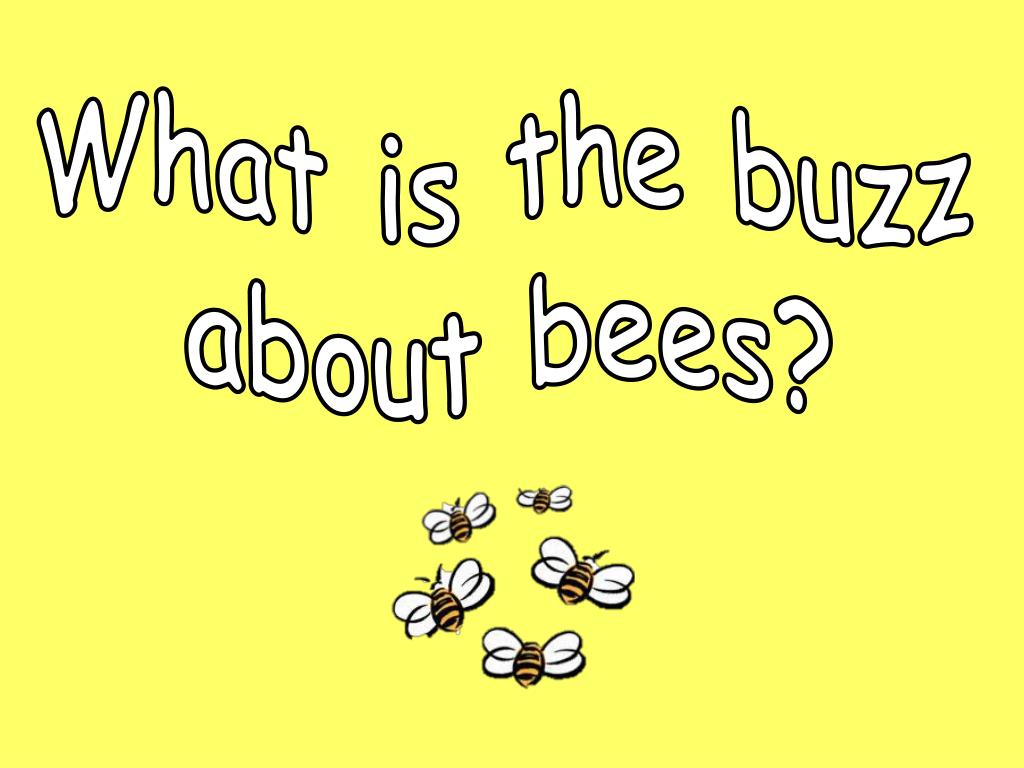 PPT - What is the buzz about bees? PowerPoint Presentation, free ...