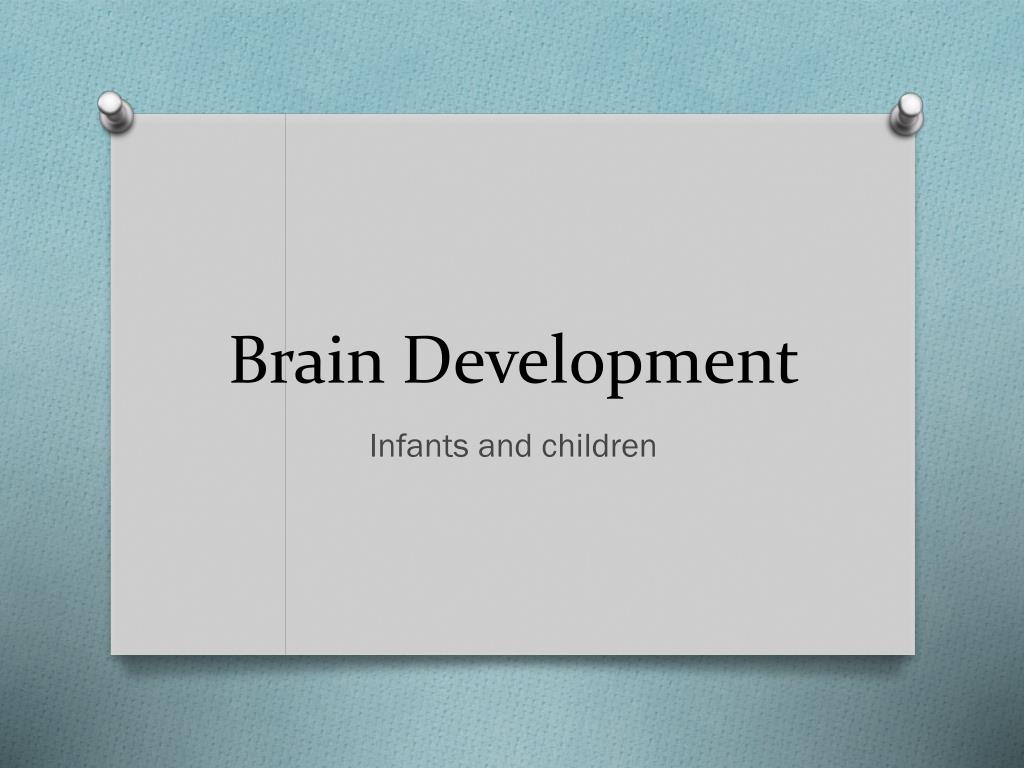 PPT - Brain Development PowerPoint Presentation, free download - ID:2817957