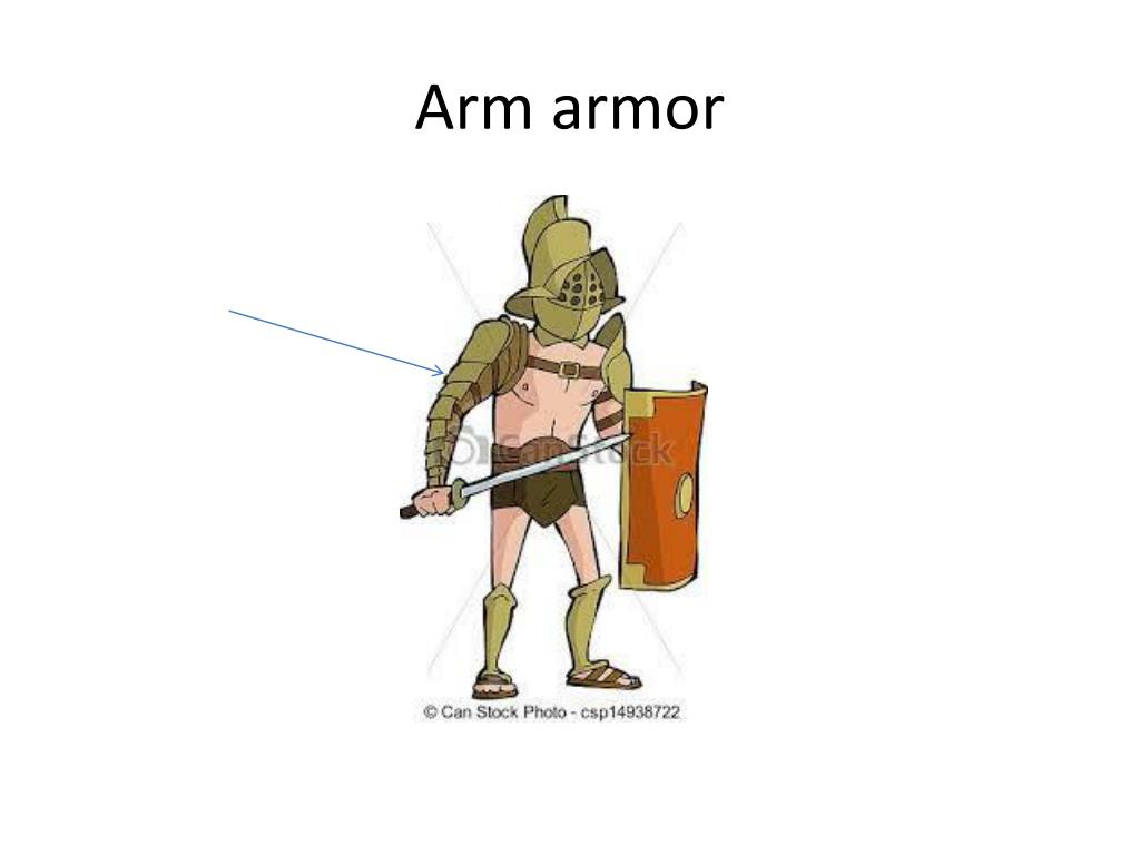 PPT - Arm armor PowerPoint Presentation, free download - ID:2818046