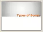 PPT - Types of Bones PowerPoint Presentation, free download - ID:2360241