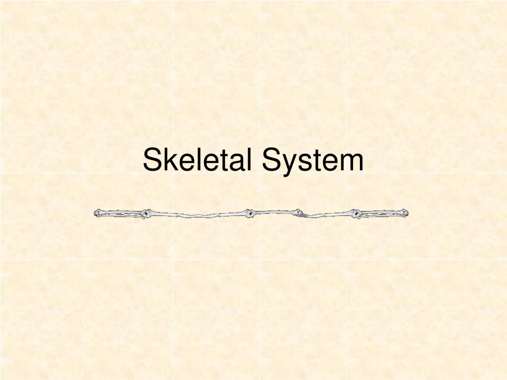 PPT - Understanding Animal Skeletons: Types, Functions, and Bone ...
