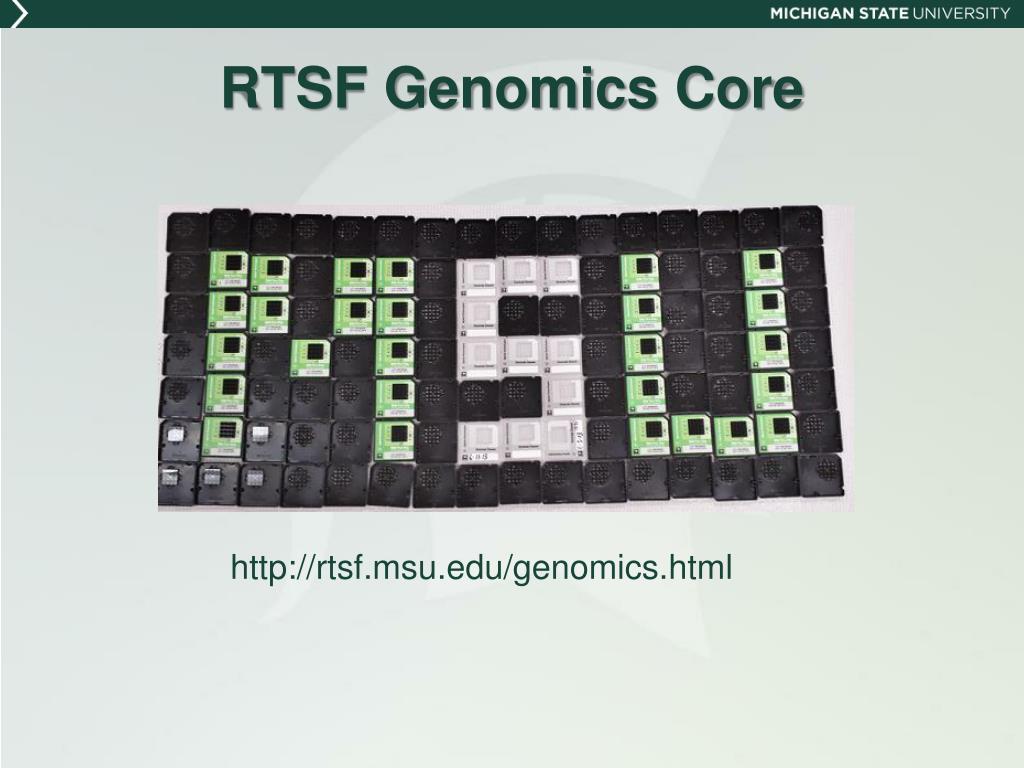 PPT - RTSF Genomics Core PowerPoint Presentation, free download - ID ...