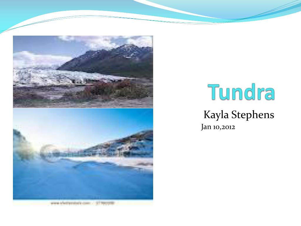 PPT - Tundra PowerPoint Presentation, free download - ID:2820053