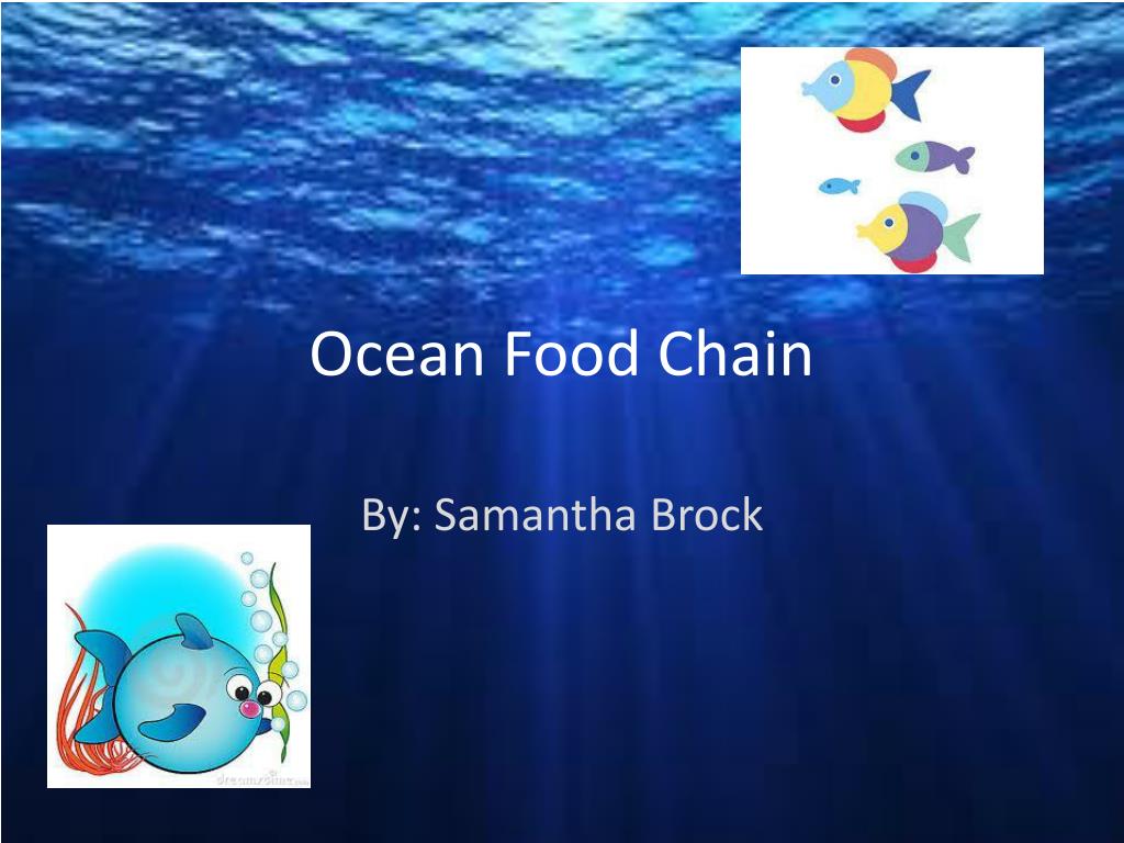 PPT - Ocean Food Chain PowerPoint Presentation, free download - ID:2822211