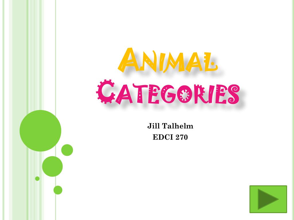 PPT - Animal Categories PowerPoint Presentation, free download - ID:2822748