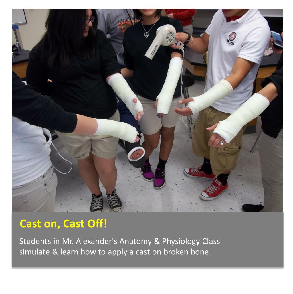 PPT - Cast on, Cast Off! PowerPoint Presentation, free download - ID ...