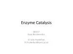 PPT - Enzyme Catalysis PowerPoint Presentation, free download - ID:226444