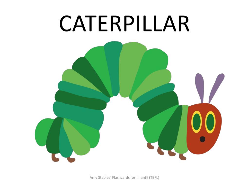 PPT - CATERPILLAR PowerPoint Presentation, free download - ID:2823540