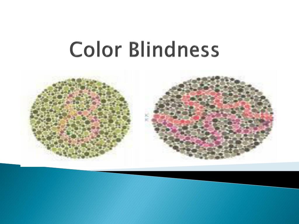 PPT - Color Blindness PowerPoint Presentation, free download - ID:2823543