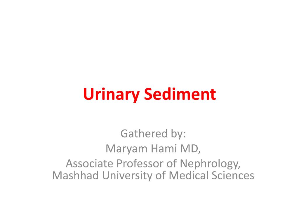 PPT - Urinary Sediment PowerPoint Presentation, free download - ID:2824498