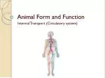 PPT - Basic Principles of Animal Form and Function PowerPoint ...