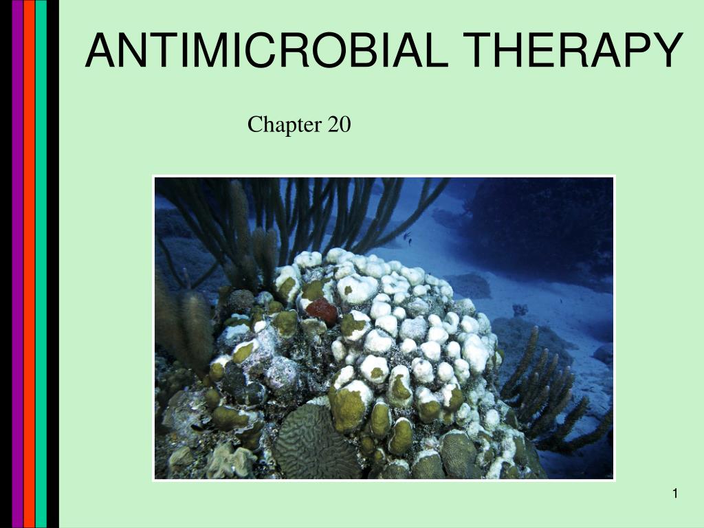 PPT - ANTIMICROBIAL THERAPY PowerPoint Presentation, free download - ID ...