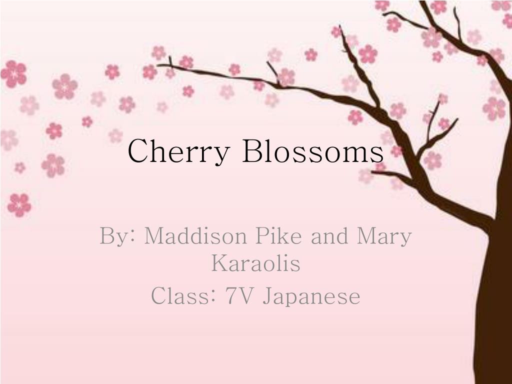 PPT - Cherry Blossoms PowerPoint Presentation, free download - ID:2826986